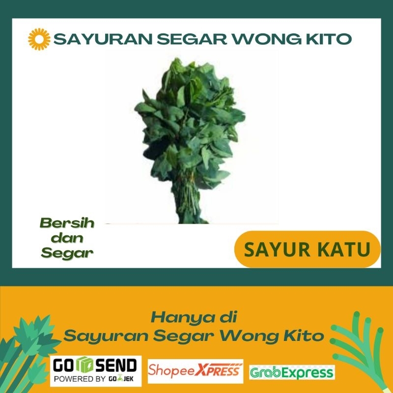 Jual Sayur katu - Sayuran Segar Wong Kito | Shopee Indonesia