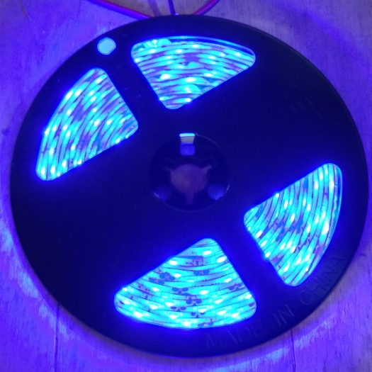 Jual Led Strip Lampu Led Strip Neon Flexible led Soft Strip 5 Meter ...