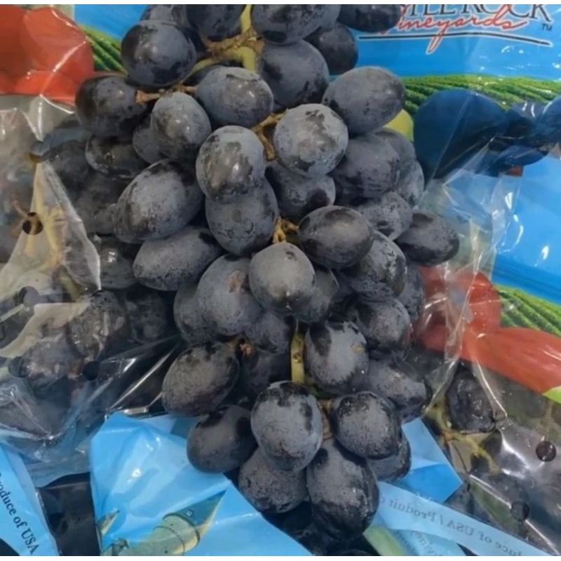 Jual Anggur Hitam Black Autumn Seedless | Shopee Indonesia