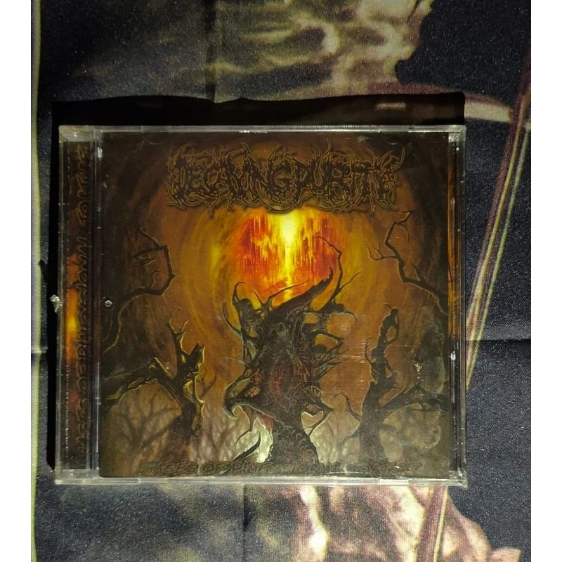 Jual Decaying Purity - Phases of Dimensional Torture | Shopee Indonesia