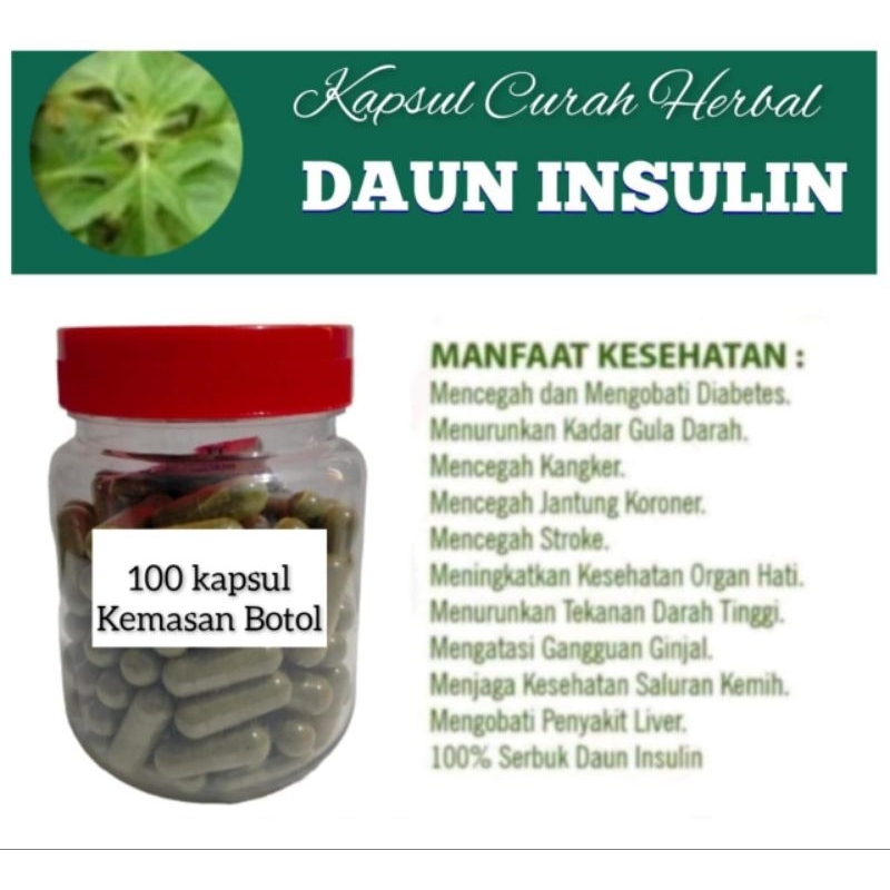 Jual Daun Insulin 100 Kapsul Kapsul Diabetes Liver Ginjal Kemasan BOTOL ...