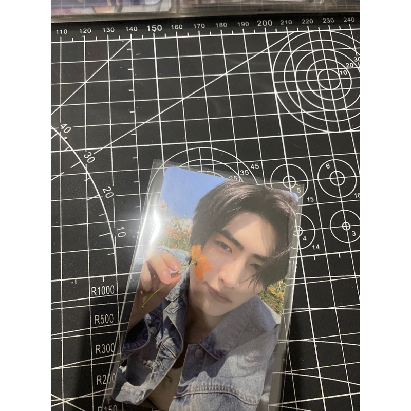 Jual ready stock photocard orange blood enhypen official,jay,jake,sunghoon,niki,sunoo,jungwon ...