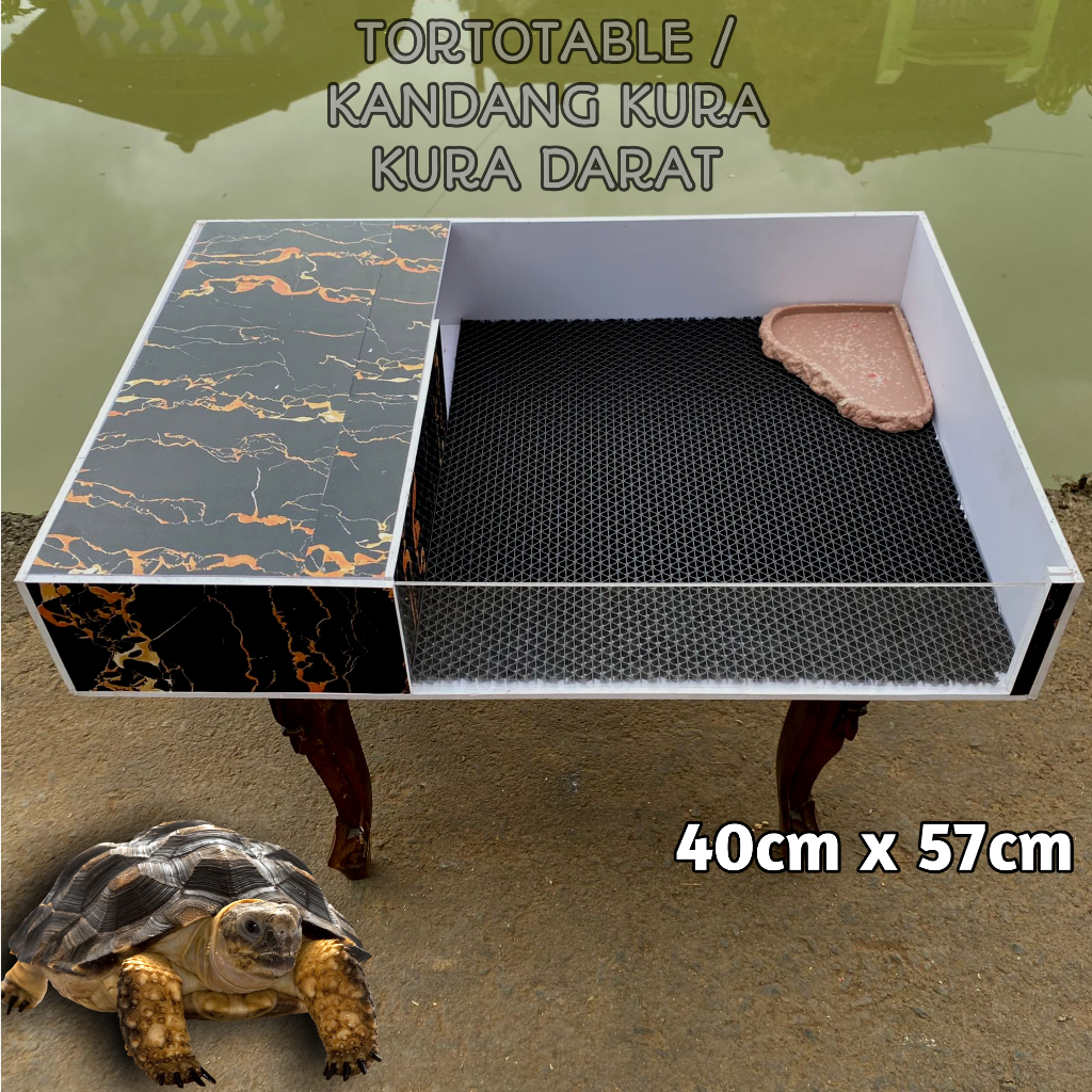 Jual TORTOTABLE KANDANG KURA KURA DARAT PVC BOARD 40x57x10cm | Shopee ...