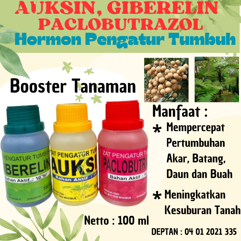 Jual Paket Lengkap Hormon Tanaman Auksin Giberelin Paclobutrazol - Zat ...