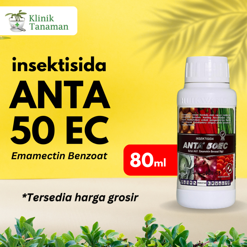 Jual Obat Hama Anta 80ml Pembasmi Hama Wabah Ulat, Penggerek Batang ...