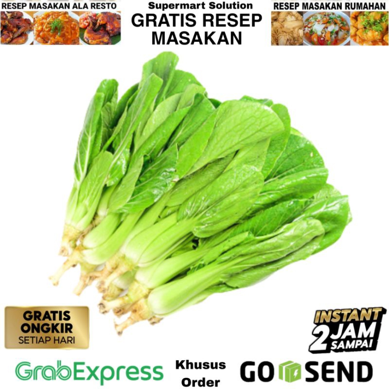 Jual Sayur Pakcoy Sayur Pak choy Baby pakcoy Segar | Shopee Indonesia