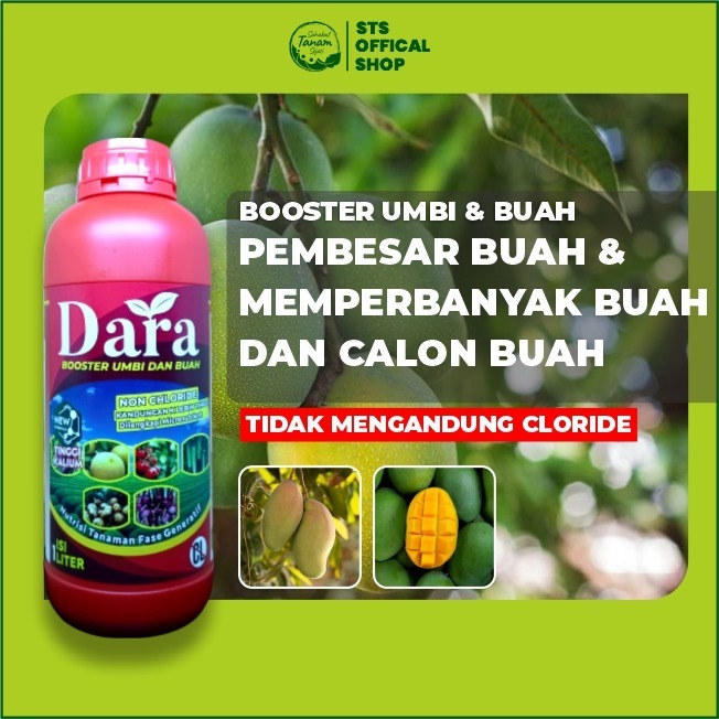 Jual Dara Pupuk Kalium Booster Pembesar Dan Memperbanyak Buah Mangga ...