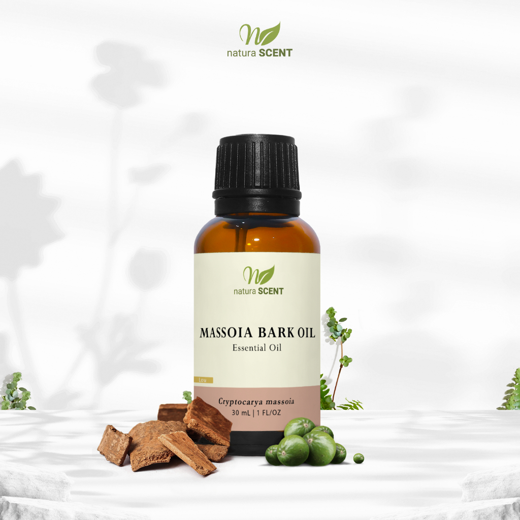 Jual Massoia Bark Oil - Massoia Bark Oil CO2 - Massoia Bark Essential ...