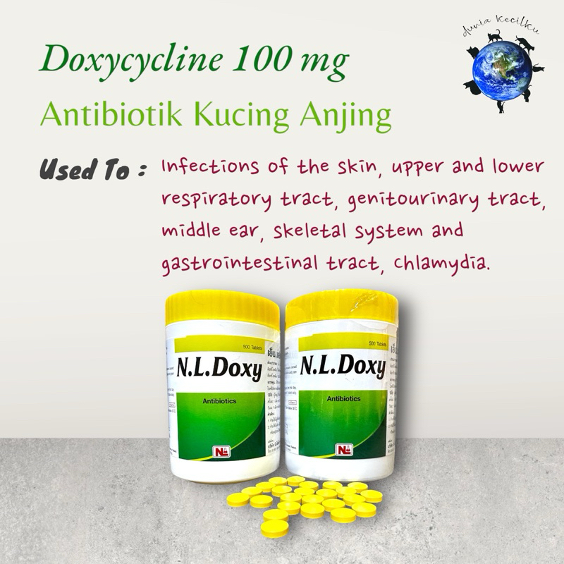 Jual N.L Doxy 100 Mg Antibiotik Tablet Kucing Anjing / Chlamydia ...