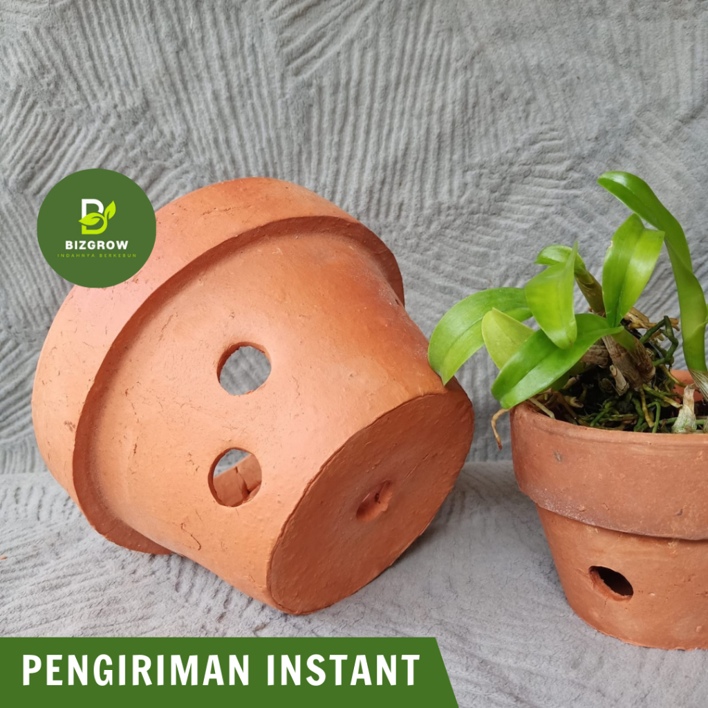 Jual Pot Gerabah Tanah Liat Diameter 20cm | Pot Anggrek Terakota ...