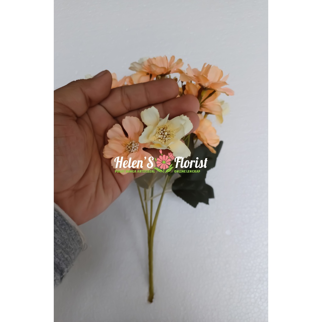 Jual Mini Daisy Creamy Peach - Bunga Tancap | Shopee Indonesia
