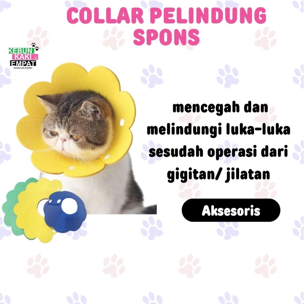 Jual Collar Pelindung Spons - Collar Pasca Operasi - Collar Anti Garuk ...