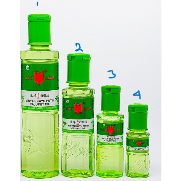 Jual (Botolan) Minyak Kayu Putih 15, 30, 60, 120Ml | Shopee Indonesia