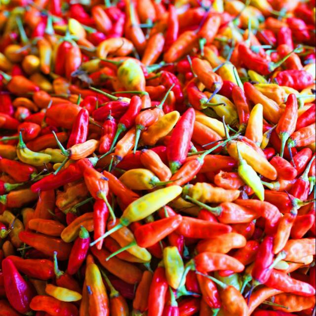 Jual Cabe merah domba/cabe merah gembor/cabe super hot/cabe rawit merah ...