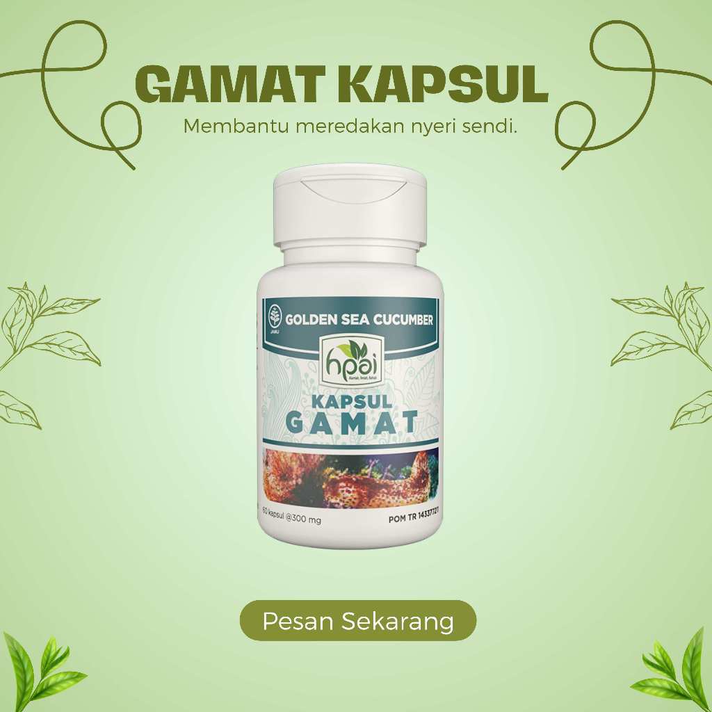 Jual Obat Nyeri Sendi - GAMAT KAPSUL - HNI | Shopee Indonesia