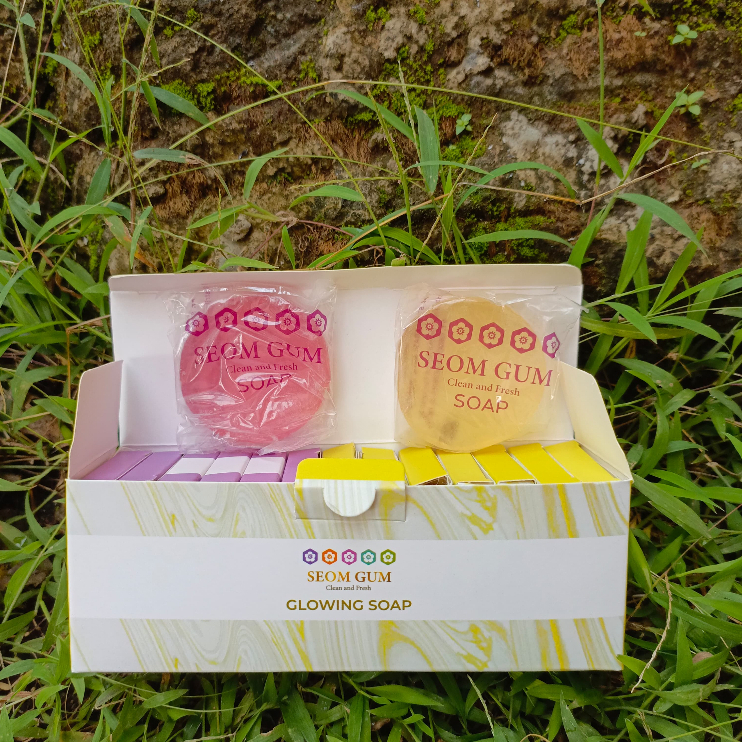 Jual SABUN SEOM GUM GLOWING / SEOM GUM FEMININE 1 BOX ISI 13 PCS ...