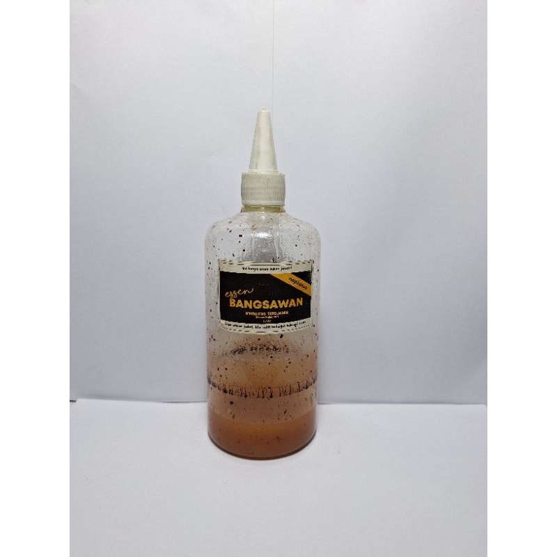 Jual ESSEN OPLOSAN IKAN MAS - NEPTUNUS - ESSEN IKAN MAS GALAPUNG DAN ...