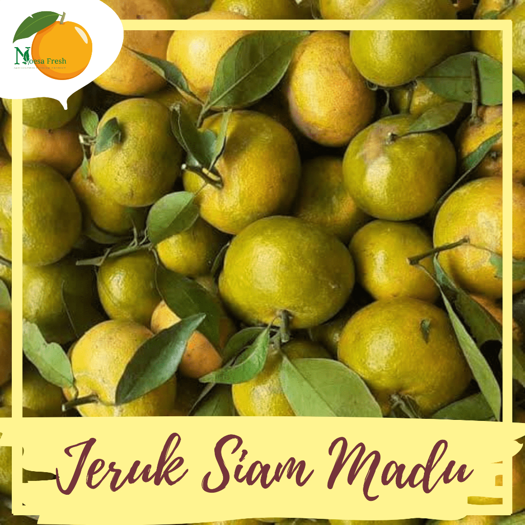 Jual Jeruk Siam Madu Fresh 1kg | Shopee Indonesia