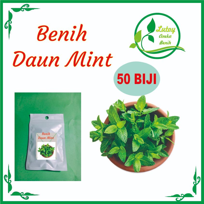 Jual BENIH DAUN MINT ISI 50 BIJI | Shopee Indonesia