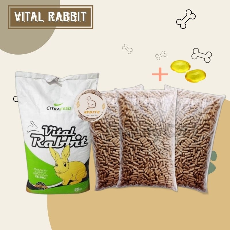 Jual APDITE Vital Rabbit 1Kg + Free Vitamin | Pelet Kelinci Premium ...