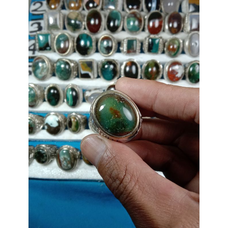 Jual pancawarna Garut Odim 2 pcs | Shopee Indonesia