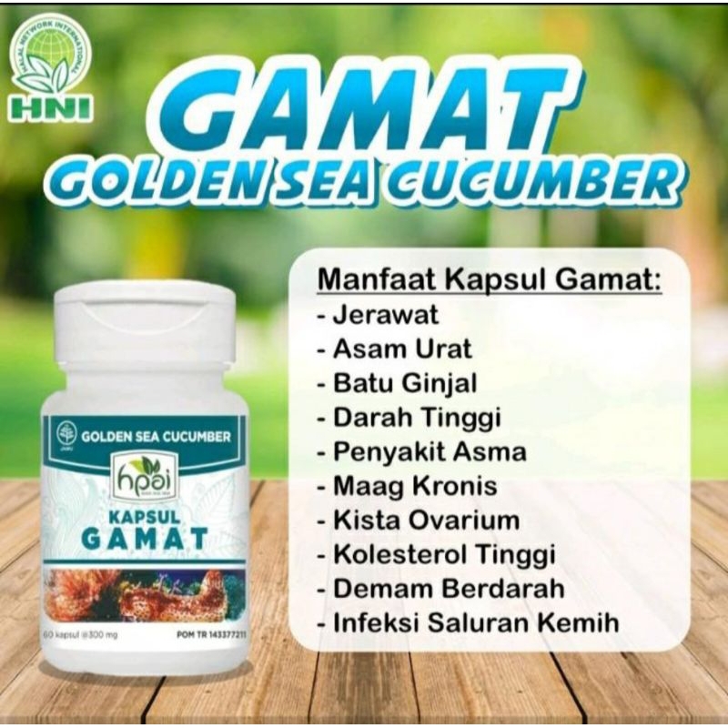 Jual GAMAT Kapsul HNI HPAI | Shopee Indonesia