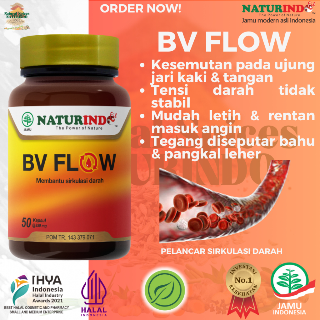 Jual BV FLOW Naturindo Obat Herbal Penyumbatan Pembuluh Darah Kesemutan ...
