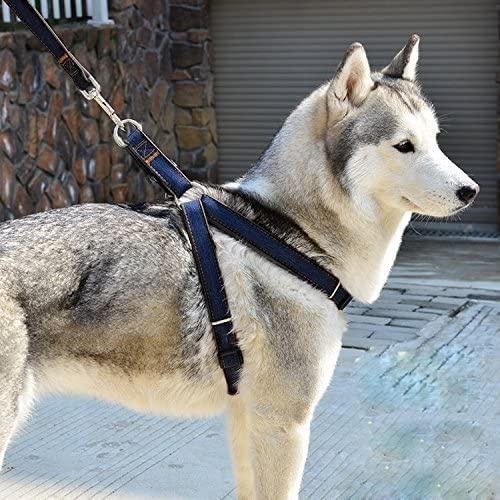 Jual Harness Satu Set Harness siap pakai Harness Anjing Satu Set Tali ...