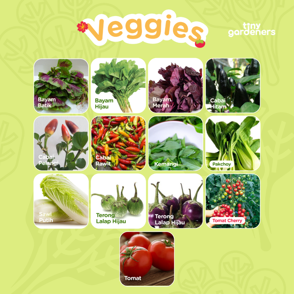 Jual Growing Kit / Gardening Kit Sayur / Vegetable | Shopee Indonesia
