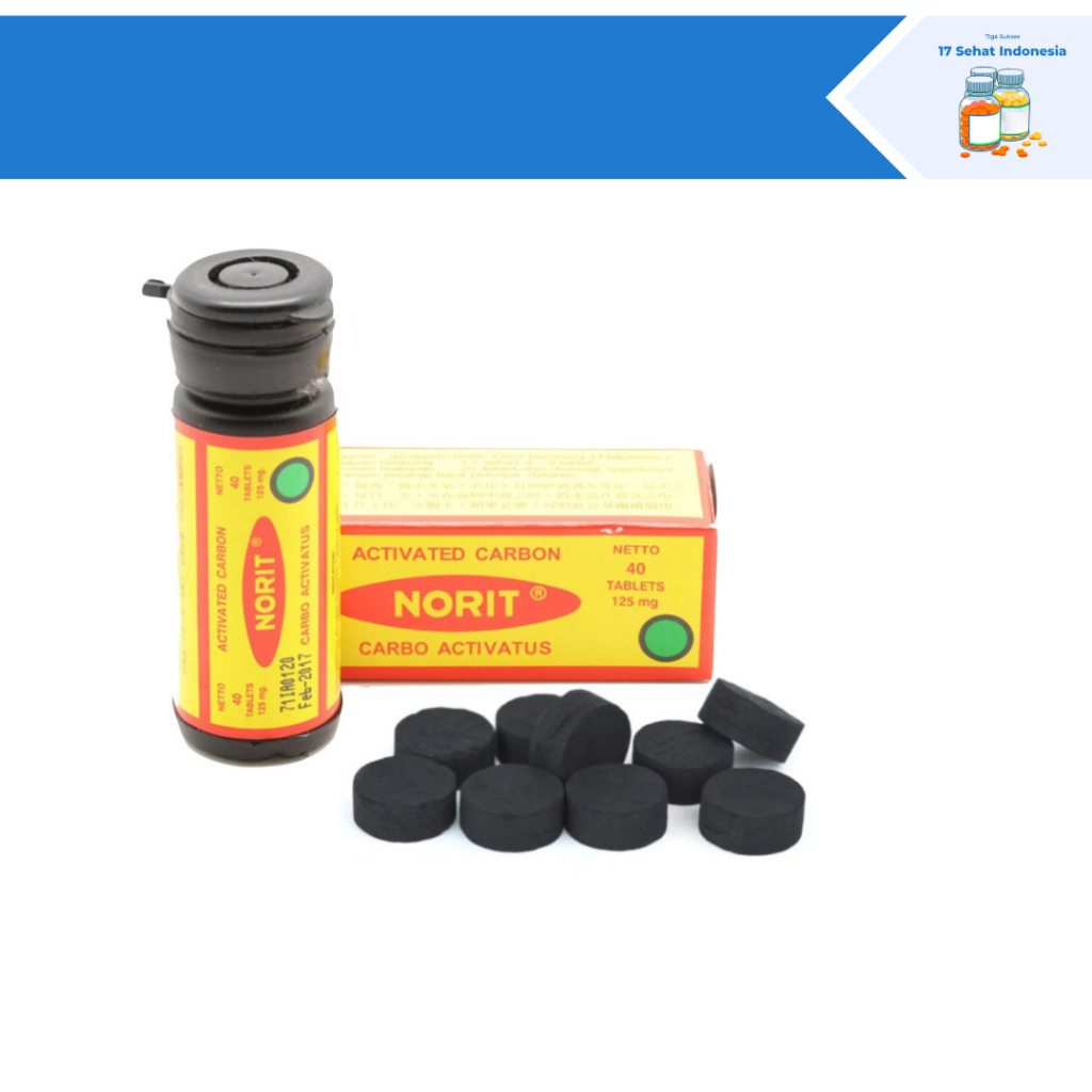 Jual NORIT CAP LANG EAGLE KARBON AKTIF 40 TABLET | Shopee Indonesia