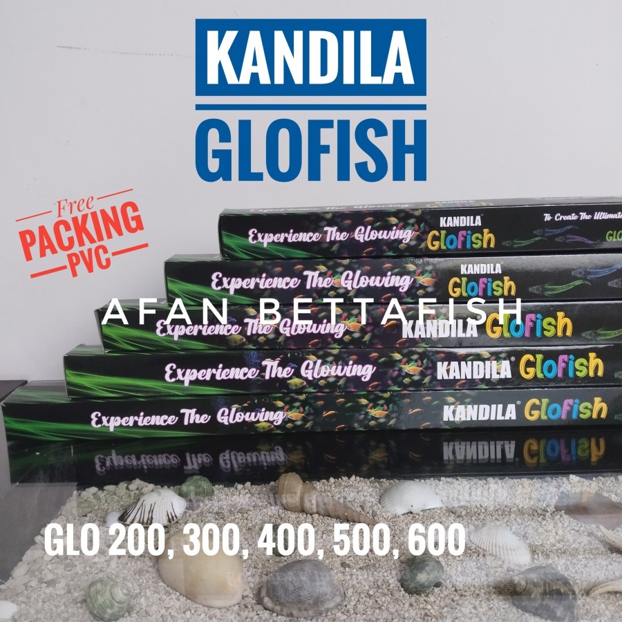 Jual KANDILA GLOFISH T4 GLO 20, 30, 40, 50, 60 LAMPU LED CELUP GLOWFISH AQUARIUM | Shopee Indonesia