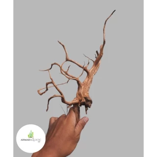 Jual akar rasamala aquascape Harga Terbaik & Termurah Mei 2024 | Shopee ...