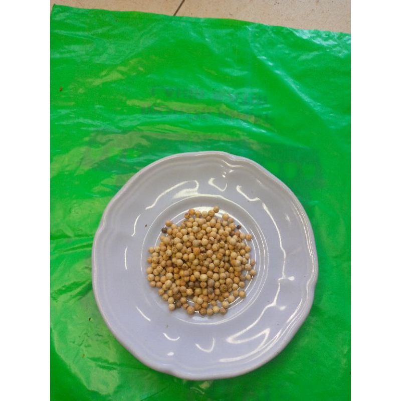 Jual lada putih/merica/sahang premium 100gr | Shopee Indonesia