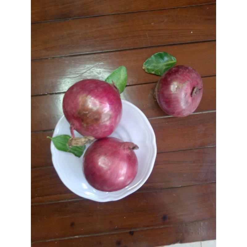 Jual Bombay Merah 1 kg | Shopee Indonesia