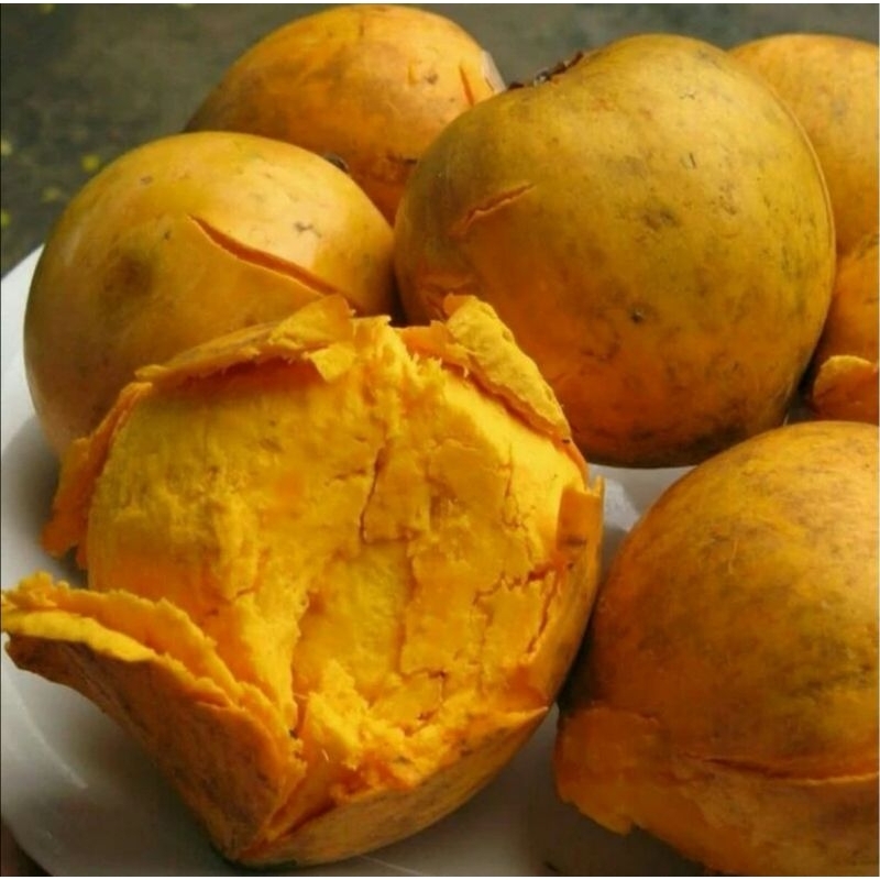 Jual Buah ALKESA/ SAWO MENTEGA (1 KG), READY SILAHKAN DI CO | Shopee ...