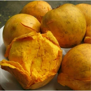 Jual Buah Alkesa Terlengkap & Harga Terbaru Mei 2024 | Shopee Indonesia
