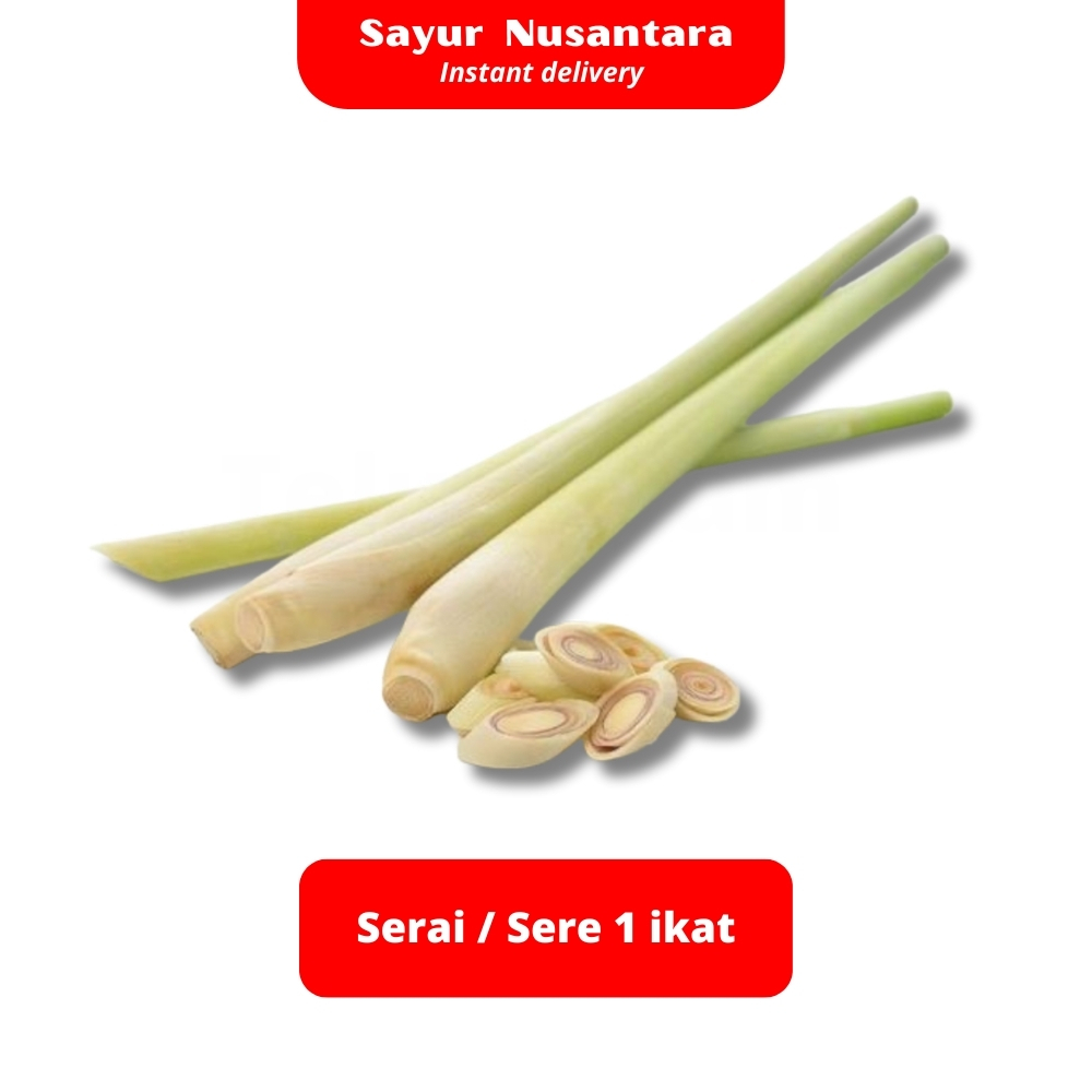 Jual Sereh 1 Ikat - Sayur Nusantara KIRIM INSTANT | Shopee Indonesia