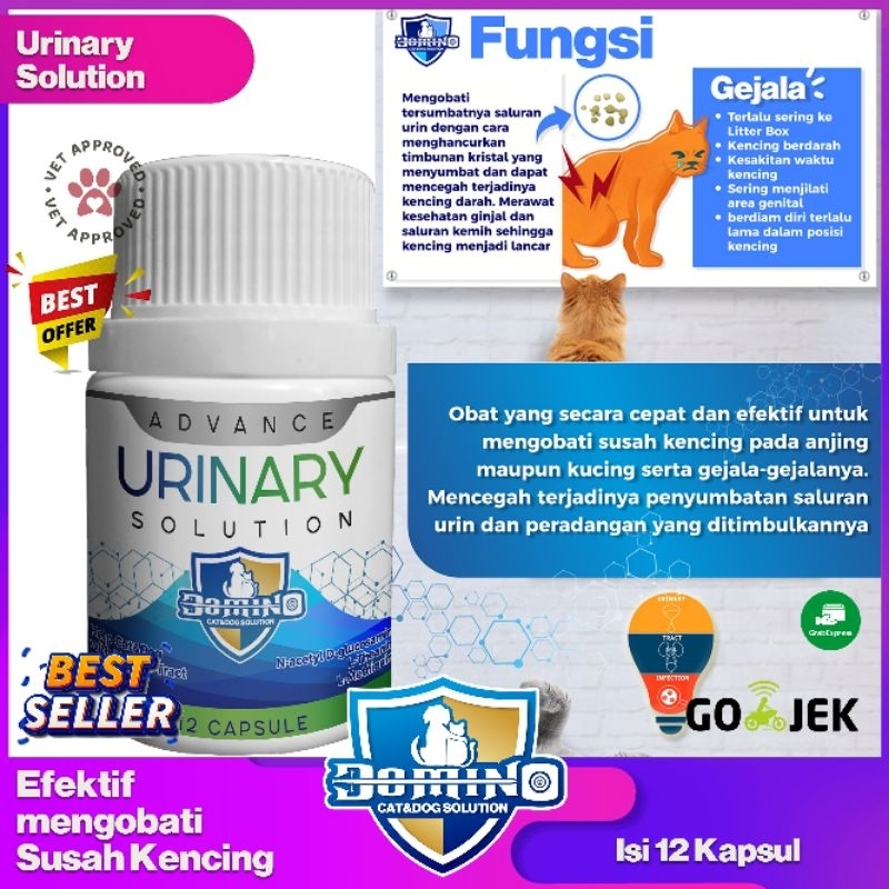 Jual Domino Urinary Solution / ganguan saluran kencing kucing / FLUTD ...