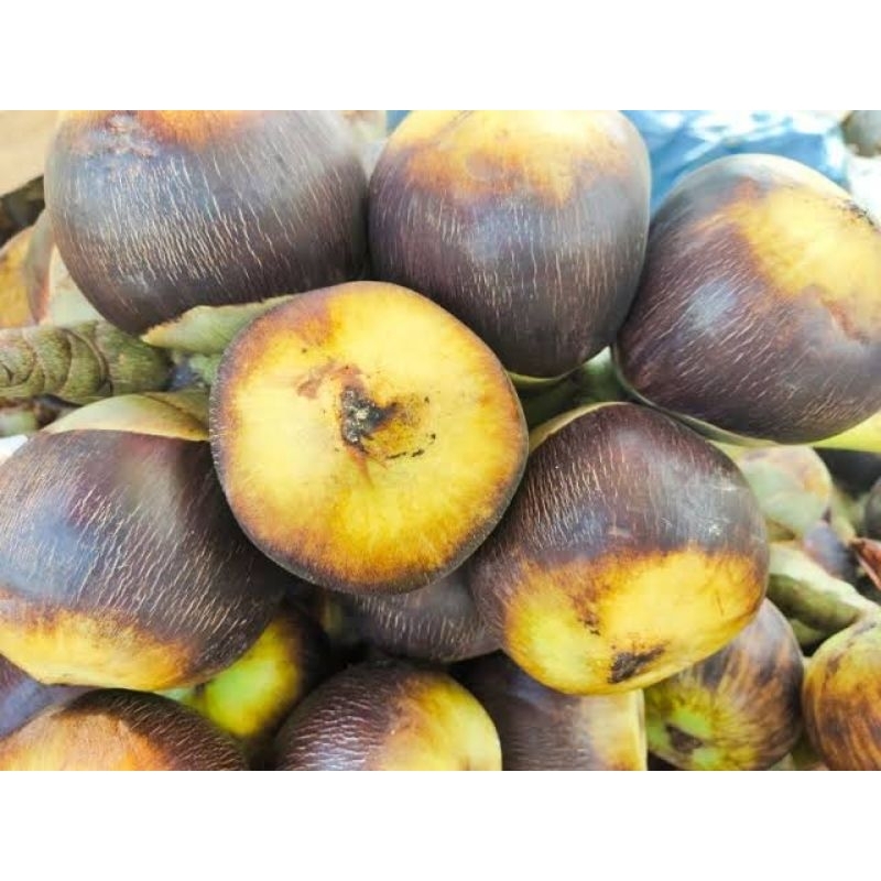 Jual SOLUSI AWET MUDA BUAH SIWALAN PER BIJI ISI 3 (KUPAS) | Shopee ...