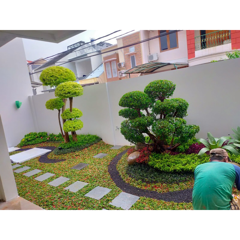 Jual [Home Garden] PEMBUATAN TAMAN RUMAH | Free konsul dan survey ...