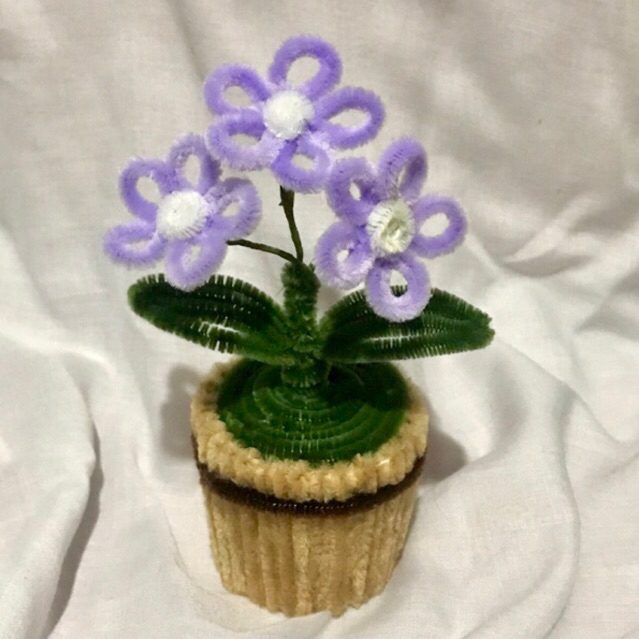 Jual daisy pot (pipe cleaner) | Shopee Indonesia