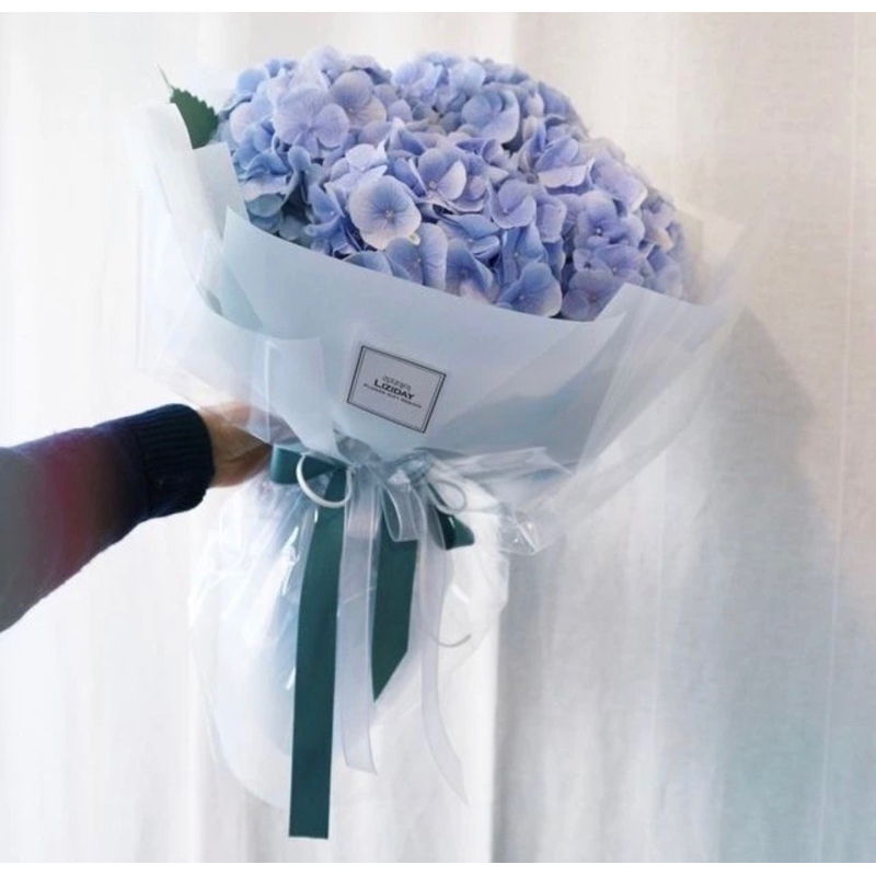Jual Hydrangea Korean Flower Fresh Bouquet Bucket Buket Bunga Segar ...