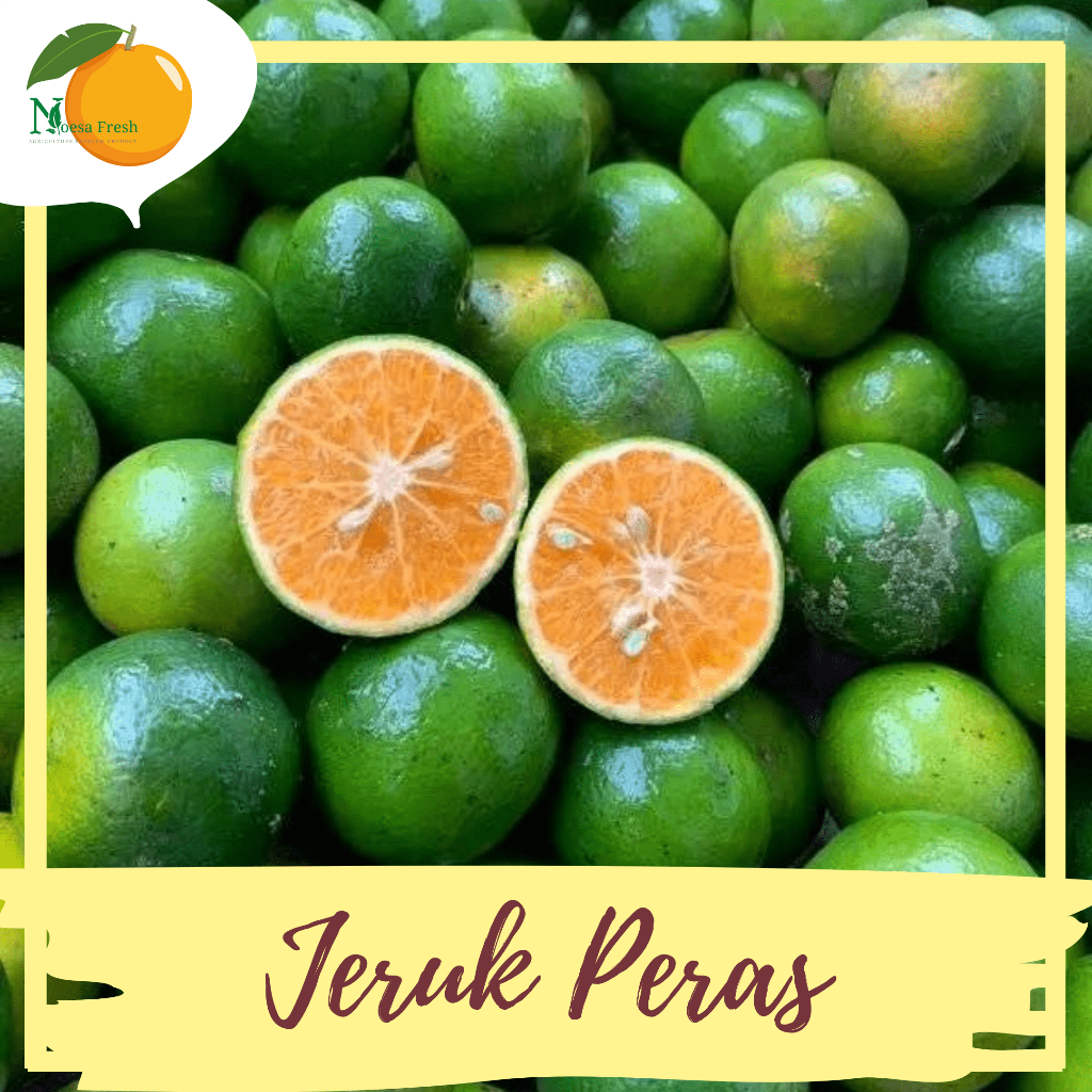 Jual Jeruk Peras Fresh 1kg | Shopee Indonesia