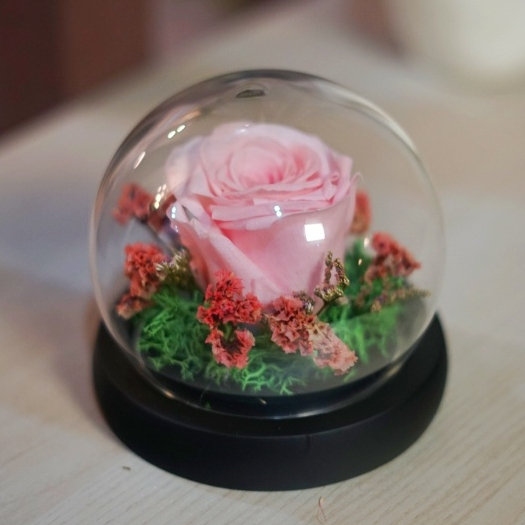 Jual Flower Glass Dome Miniatur / Bunga Ukuran Mini D10 cm | Special ...