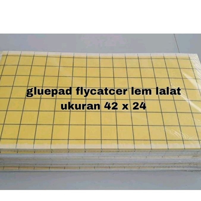 Jual Lem Lalat Glue Pad Untuk Flycatcher Lampu Perangkap Lalat Extra Lengket | Shopee Indonesia