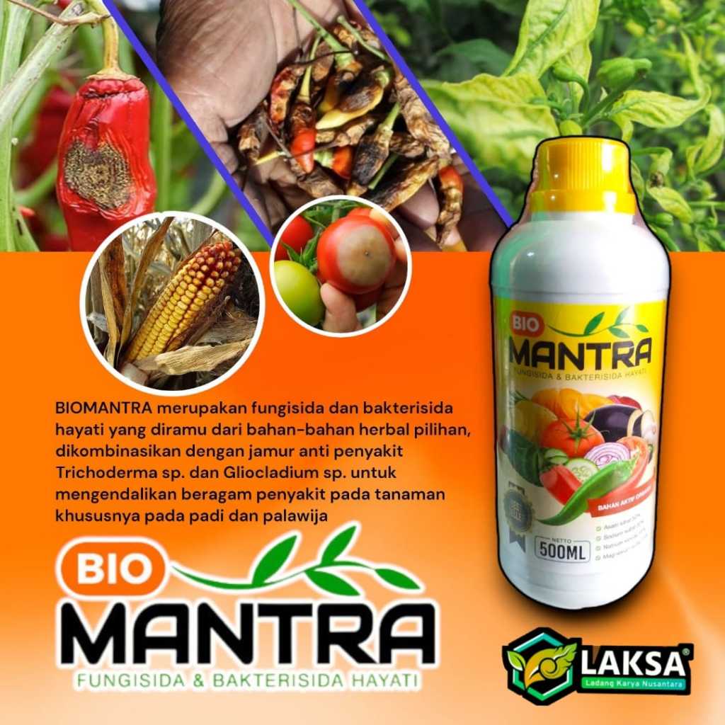 Jual Pengendali hama daun keriting dan daun kering BIO MANTRA 500ml ...