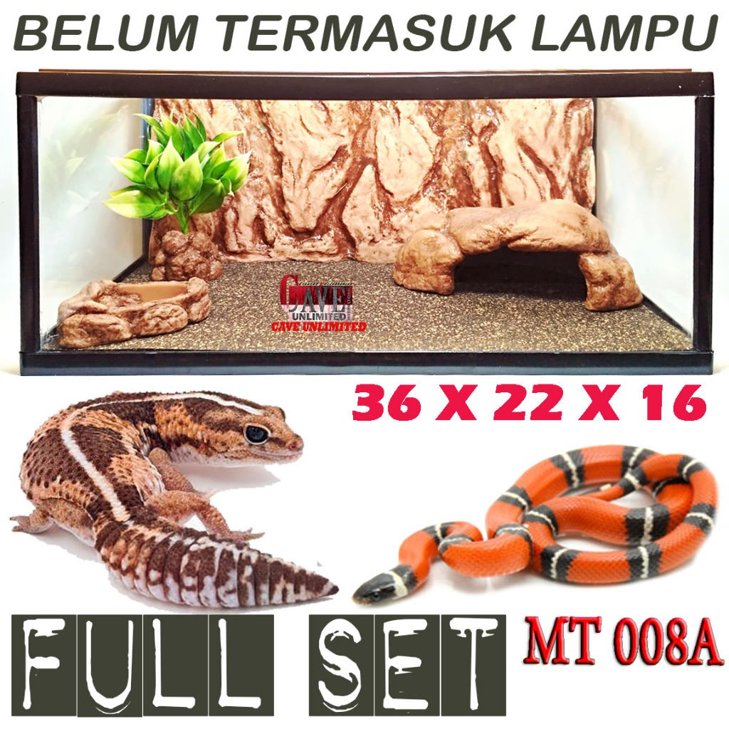 Jual MT008A PAKET KANDANG GECKO BEARDED DRAGON TERRARIUM REPTILE ...