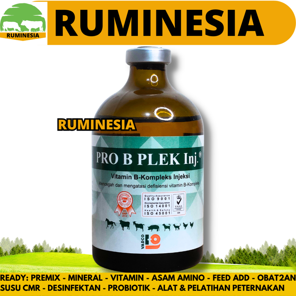 Jual PRO B PLEK INJ 100 ML - Vitamin B kompleks Hewan Sapi Kambing ...