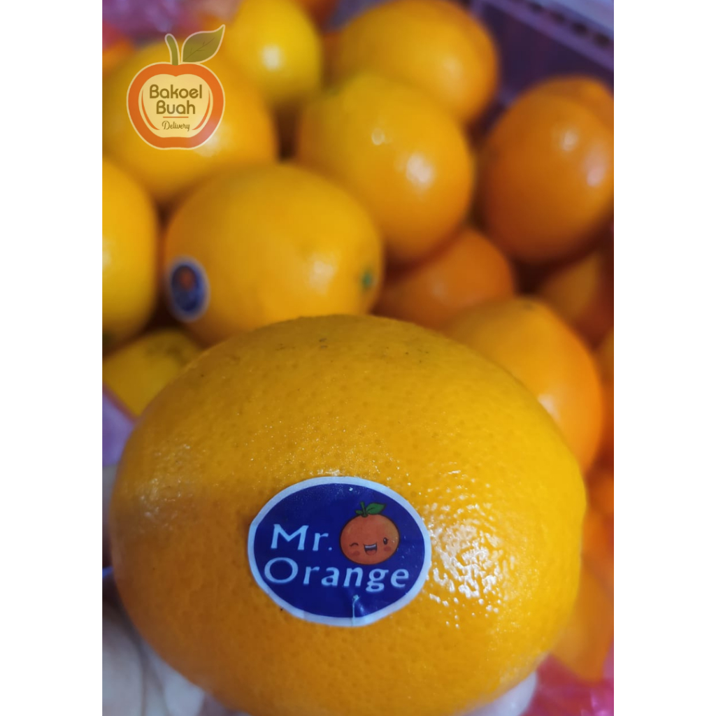 Jual Jeruk Navel orange | Shopee Indonesia
