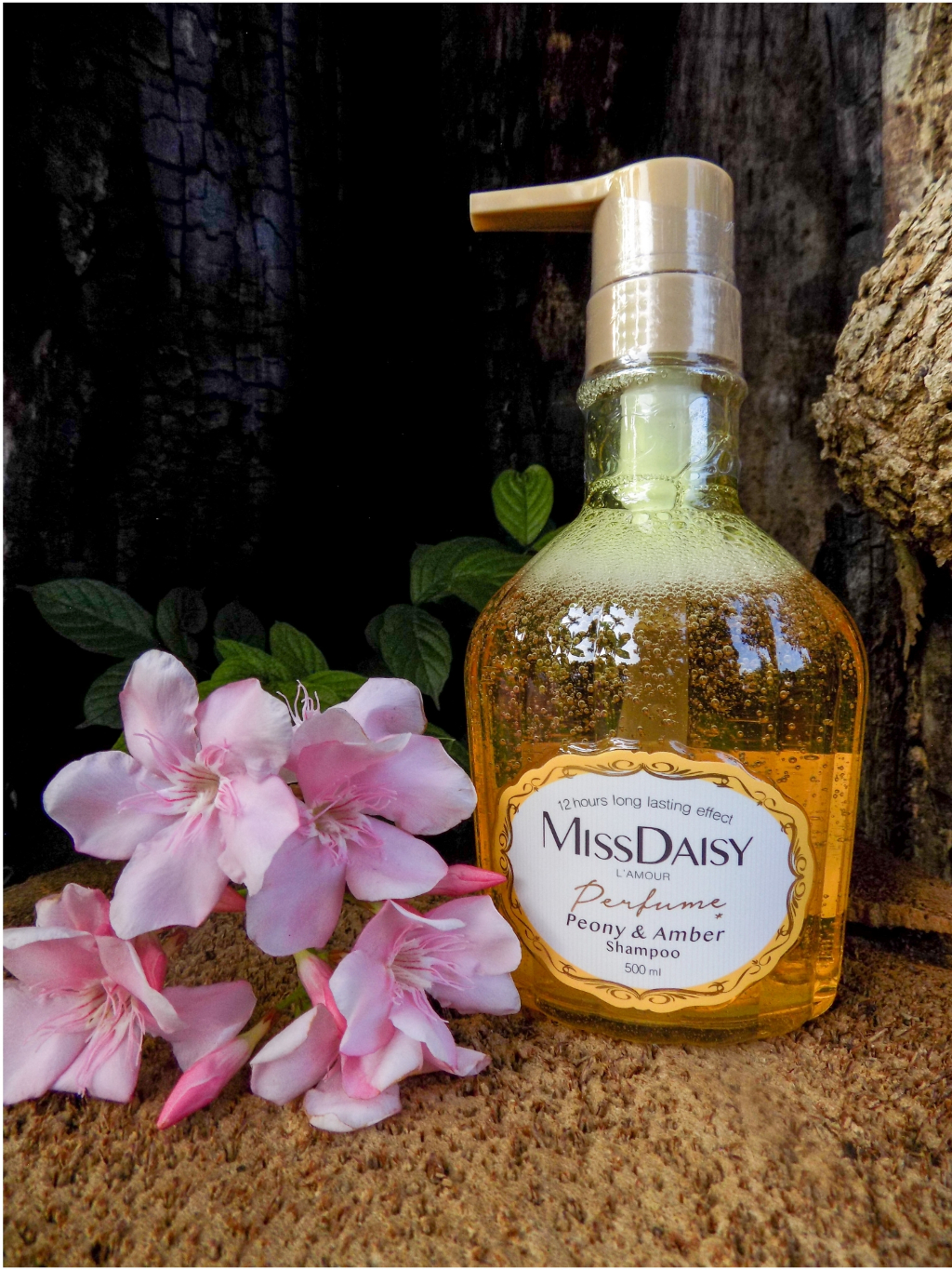 Jual MISS DAISY French Perfume Shampoo 500ml & Hairmask 250ml Organik Anti Ketombe Kering Lepek ...